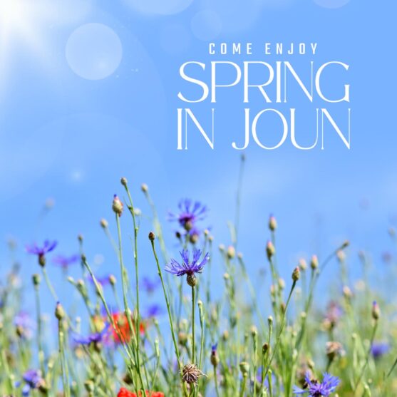 Things To Do – Joun Estates