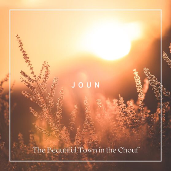 Things To Do – Joun Estates